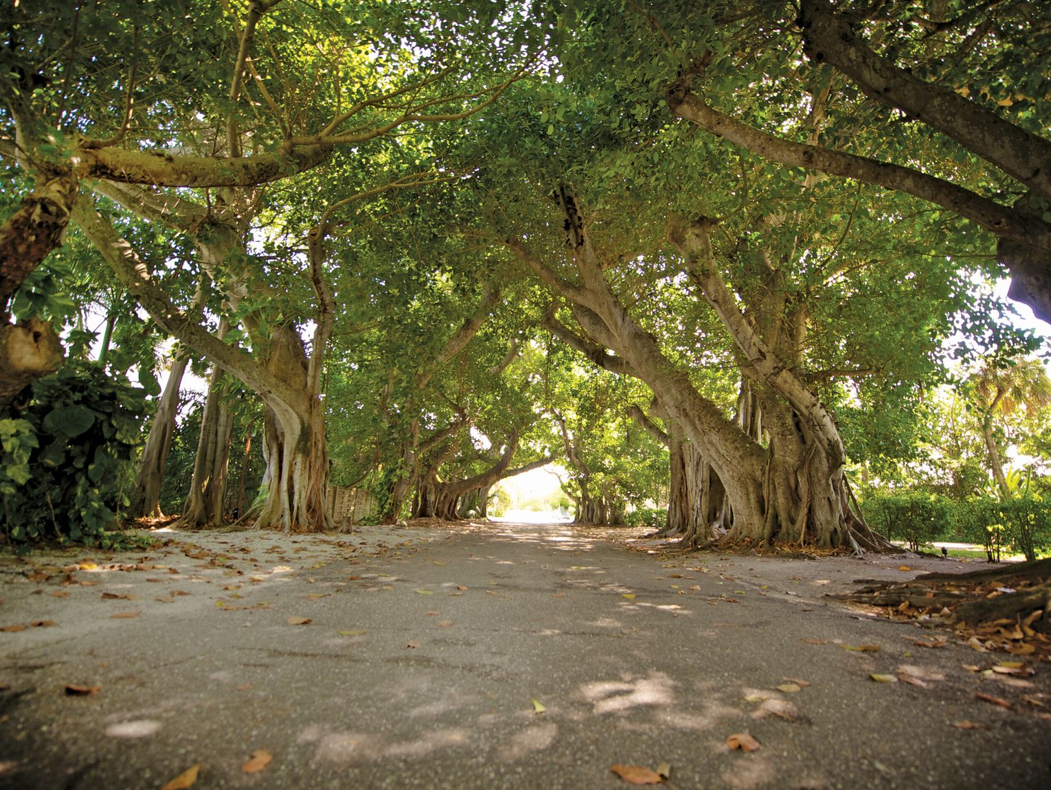 Coastal Tapestry: Experience Vibrant Communities, Local Heritage and ...